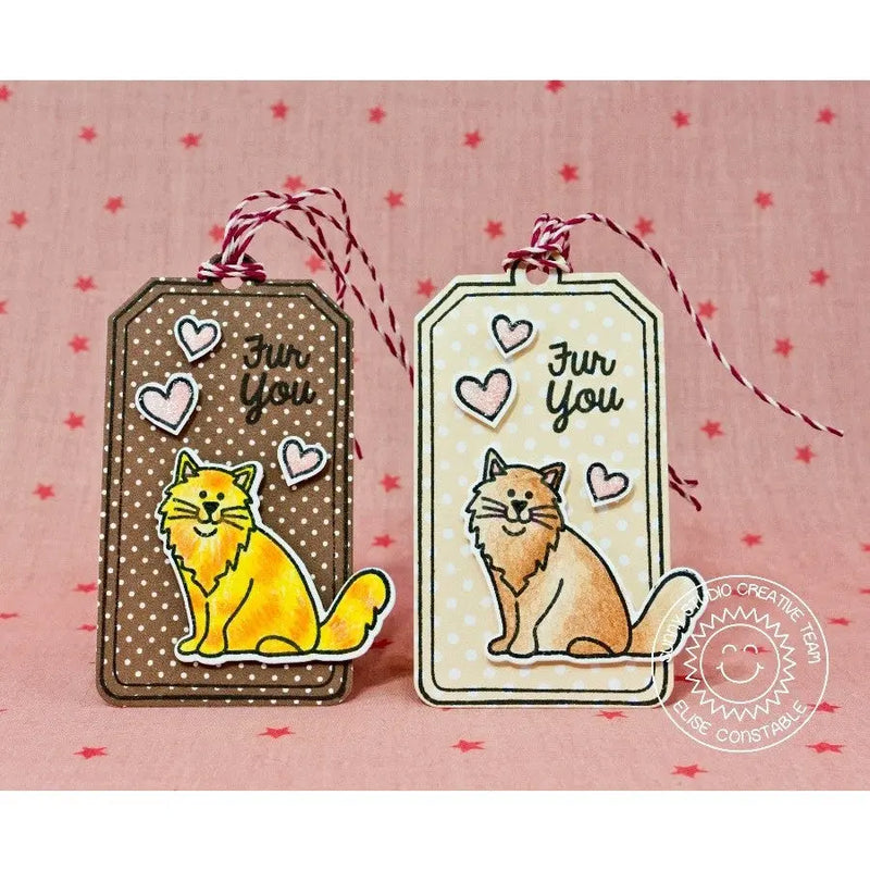Furever Friends 4x6 Kitty Cat Photo-polymer Clear Stamps - Sunny Studio ...